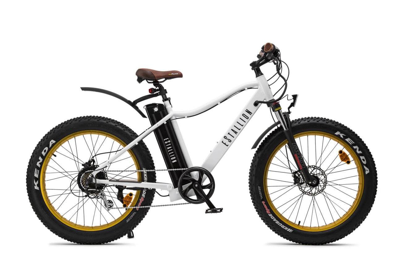 HIGH Modell | 250Watt 48Nm & 80Nm - eStallion eFatbike